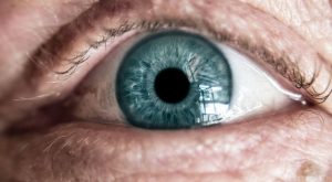 Alcon Vivity Lens - Grosinger, Spigelman & Grey