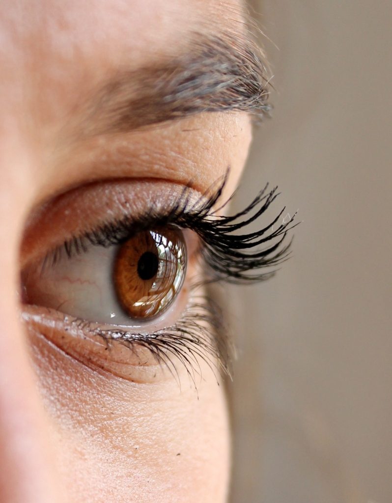 Eyelash Facts - Grosinger, Spigelman & Grey